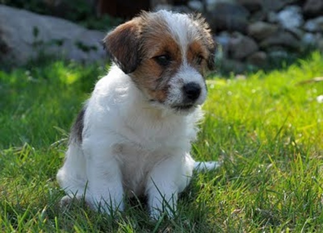 socks & co: Meinen Strickkorb….